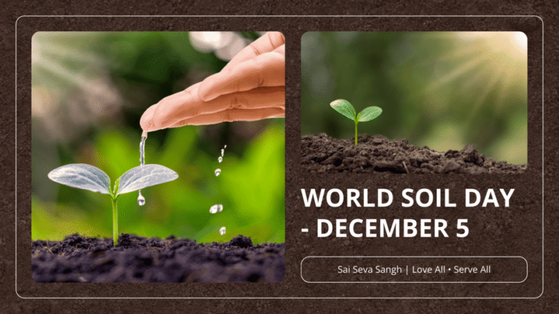 🌍 WORLD SOIL DAY – A SAI SEVA SANGH SPECIAL FEATURE - Sai Seva Sangh